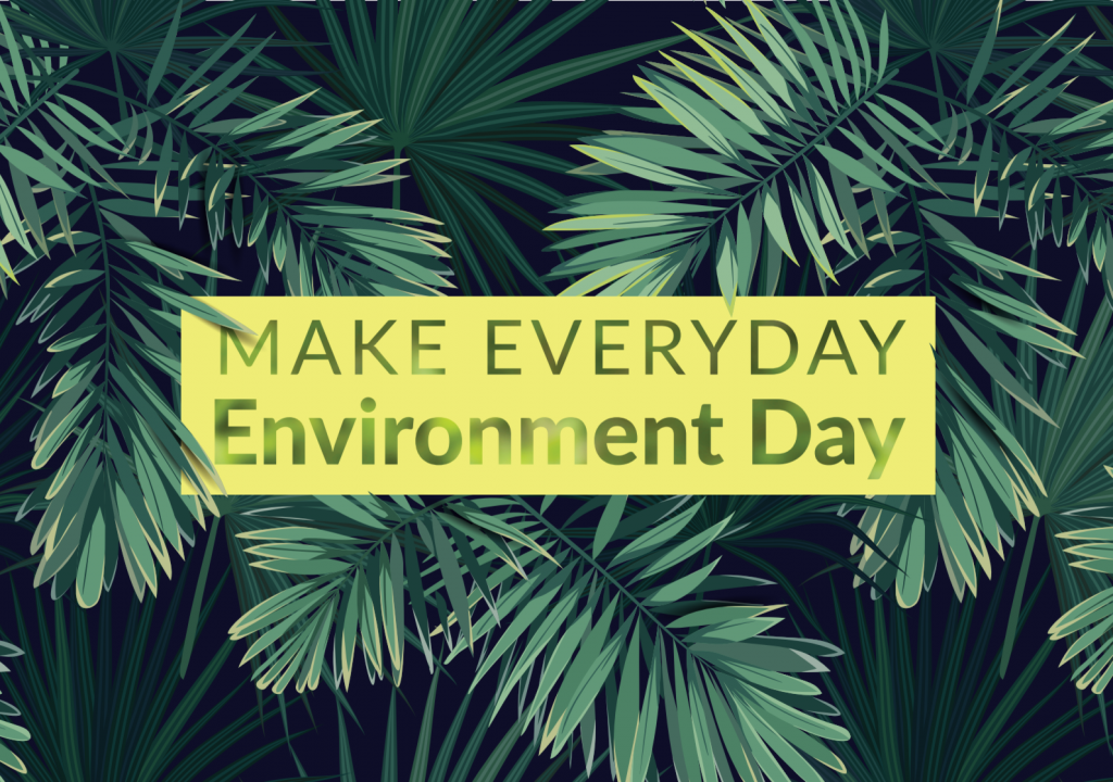 Living The Sustainable Life